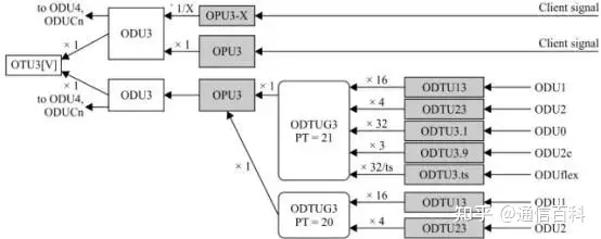 光传送网OTN的速率解析_otn100g帧结构-CSDN博客