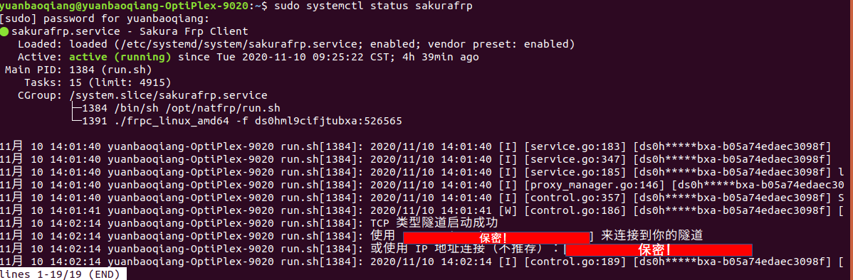 【反向代理】-Ubuntu服务器实现多用户SSH登陆及Sakura Frp内网穿透_sakura访问密钥是什么-CSDN博客