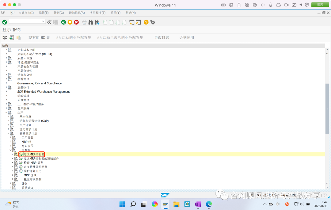 「全网最细」：MRP1视图所有字段详解及实战应用 - 合集_sap mp1视图详解-CSDN博客