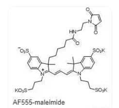 Alexa Fluor 555马来酰亚胺，一种明亮的染料，结构式及相关应用介绍_alexa555的发射和激发波长-CSDN博客