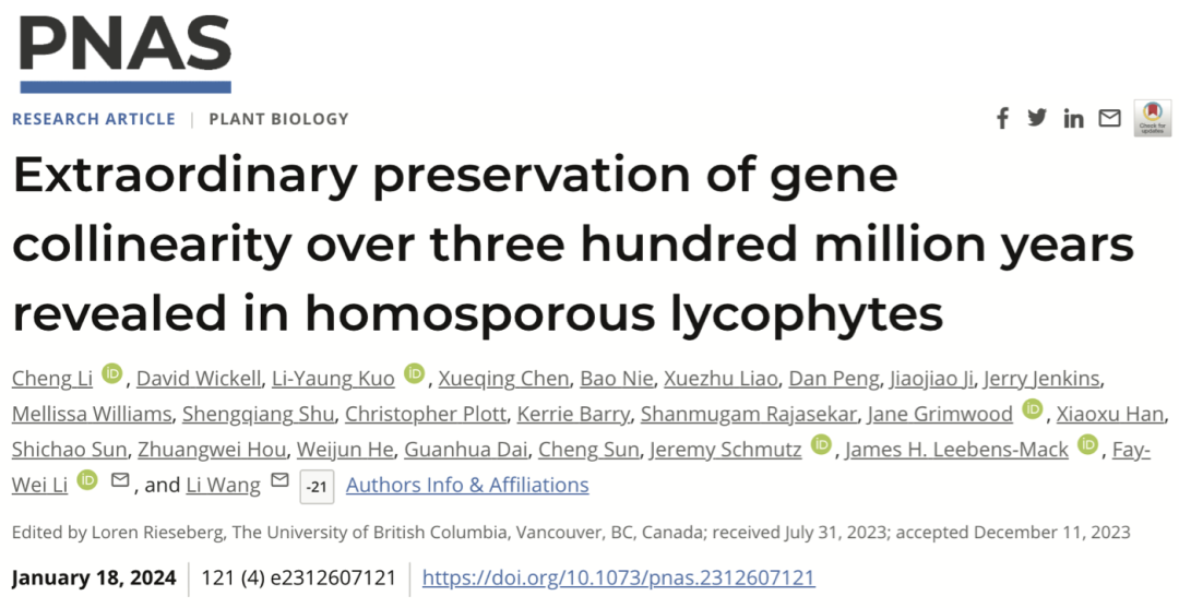 PNAS｜ 138 条染色体，基因组所王丽课题组在植物进化基因组学领域的最新研究成果...-CSDN博客