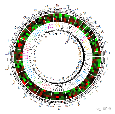 采用circlize包绘制Circos图-CSDN博客