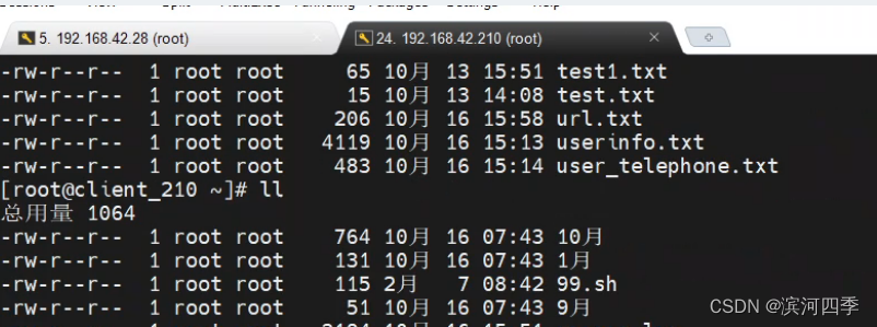 【Linux】SSH远程终端连接工具（SSH基本用法、ssh服务认证类型、ssh服务常见配置、常见配置总结、远程拷贝scp命令）_ssh终端-CSDN博客