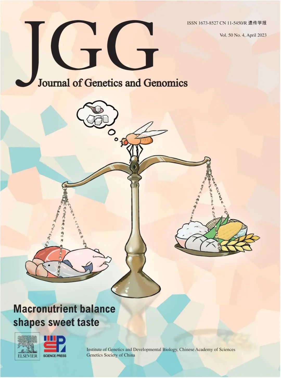 审稿 1 天 - JGG｜杨召辉/陈静团队解析东亚人群肤色变浅的重要遗传机制-CSDN博客