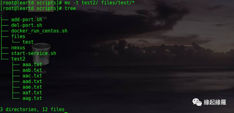 linux将文件txt重命名为bak,linux命令每日一篇之文件操作（三）-CSDN博客