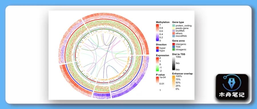 R实战 | 环状热图(circos)-CSDN博客