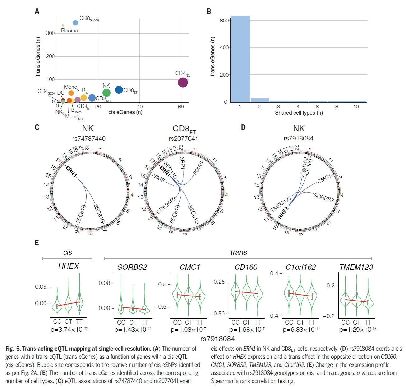 利用10X单细胞eQTL定位确定自身免疫性疾病的细胞类型特异性基因控制_single-cell eqtl mapping identifies ...