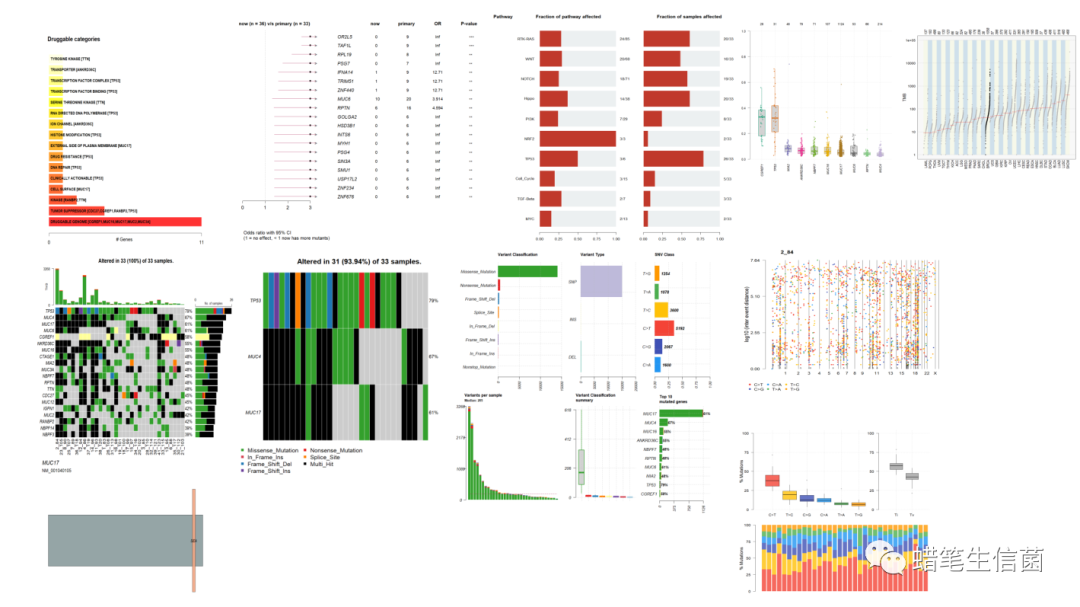 Maftools | 一键复现TCGA肿瘤突变数据分析和可视化_tcga数据用maftools-CSDN博客