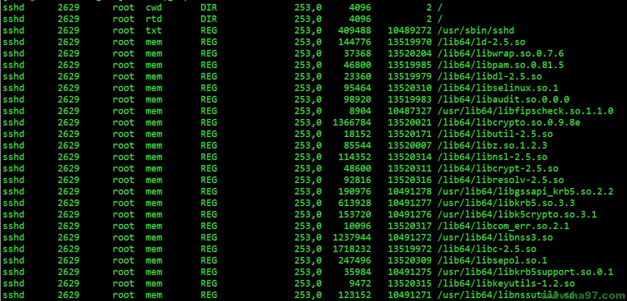 linux中lsof命令详解！_lsof -a-CSDN博客