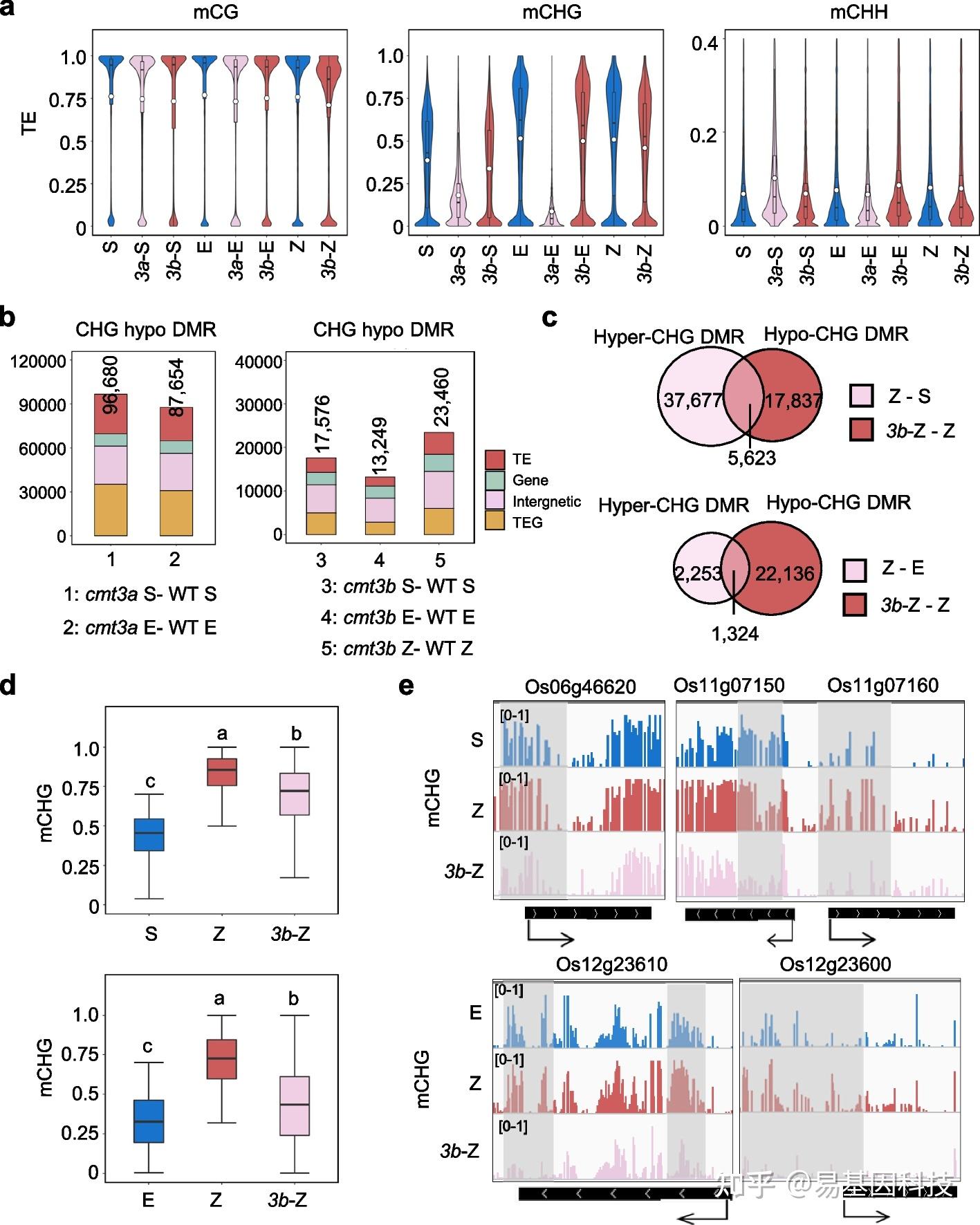 易基因：华中农大周道绣团队利用BS-seq揭示水稻雄性配子发生过程DNA甲基化重编程机｜Genome Biol-CSDN博客