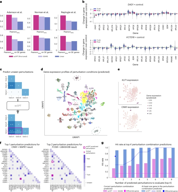生物大模型文献及代码精读（一）scGPT——3000万细胞的预训练模型？-CSDN博客