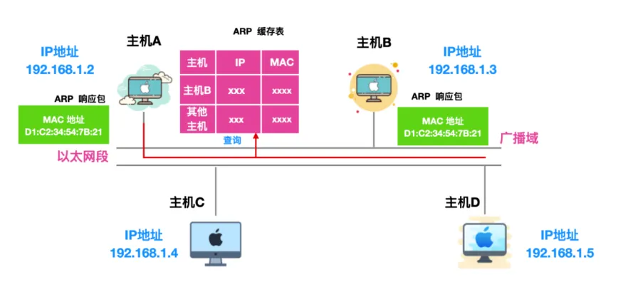 ARP协议详解-CSDN博客