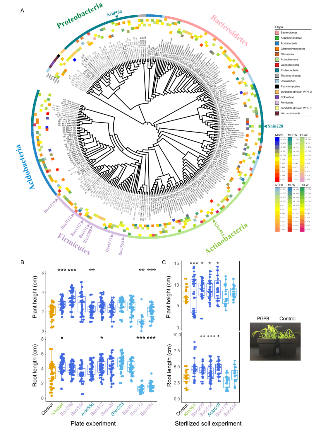 宿主基因组-微生物关联（mGWAS）新思路！-CSDN博客