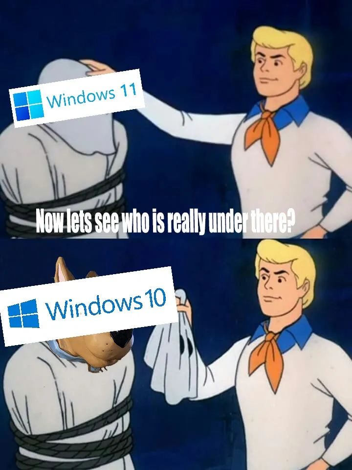 Windows 11正式发布！网友的这波吐槽，太搞笑了。。。-CSDN博客
