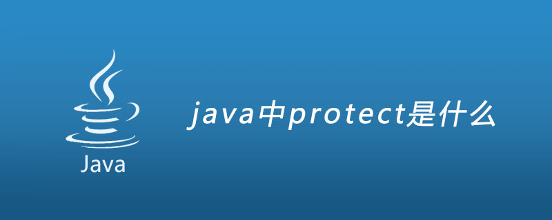 Java的protectjava中protect是什么 Csdn博客 