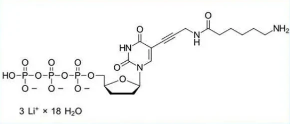 439077-17-5，Amino-11-ddUTP，氨基-11-ddUTP，包括氨基和脱氧尿苷酸，一种重要的生物分子-CSDN博客