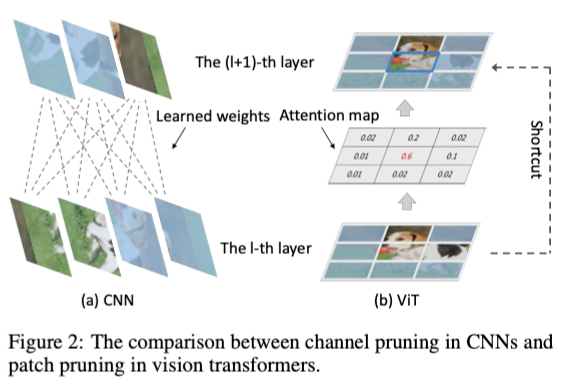 Patch Slimming for Efficient Vision Transformers简记-CSDN博客