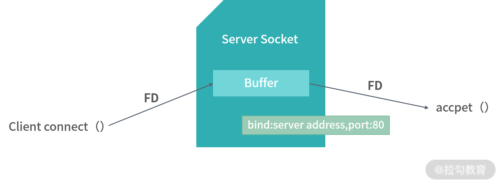 Linux的I/O 模式之多路复用-CSDN博客
