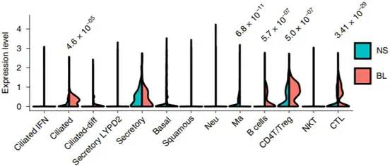 r语言 四格画图_R语言作图——Split violin plot-CSDN博客