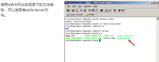 查找linux中的redis在哪个文件夹linux查看redis版本有哪些步骤?在linux中基本操作redis有哪些? Csdn博客