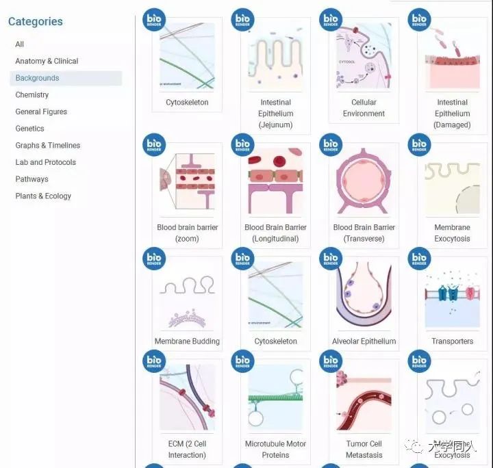 origin如何将多个曲线放在一张图_解密！SCI论文中那些高大上的插图是如何绘制的..._weixin_39530833的博客-CSDN博客