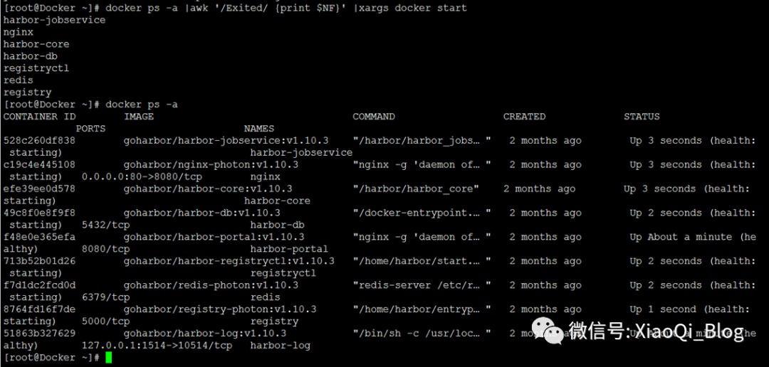 Docker启动mysql容器 Docker服务及容器自动启动设置 Csdn博客