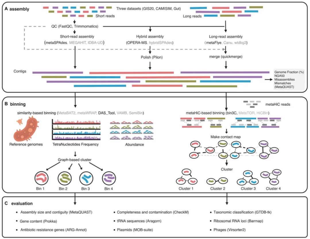 BiB｜宏基因组binning策略大比拼-CSDN博客