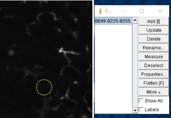 gels imagej 图片处理_如何用ImageJ做出这种酷炫动画-CSDN博客