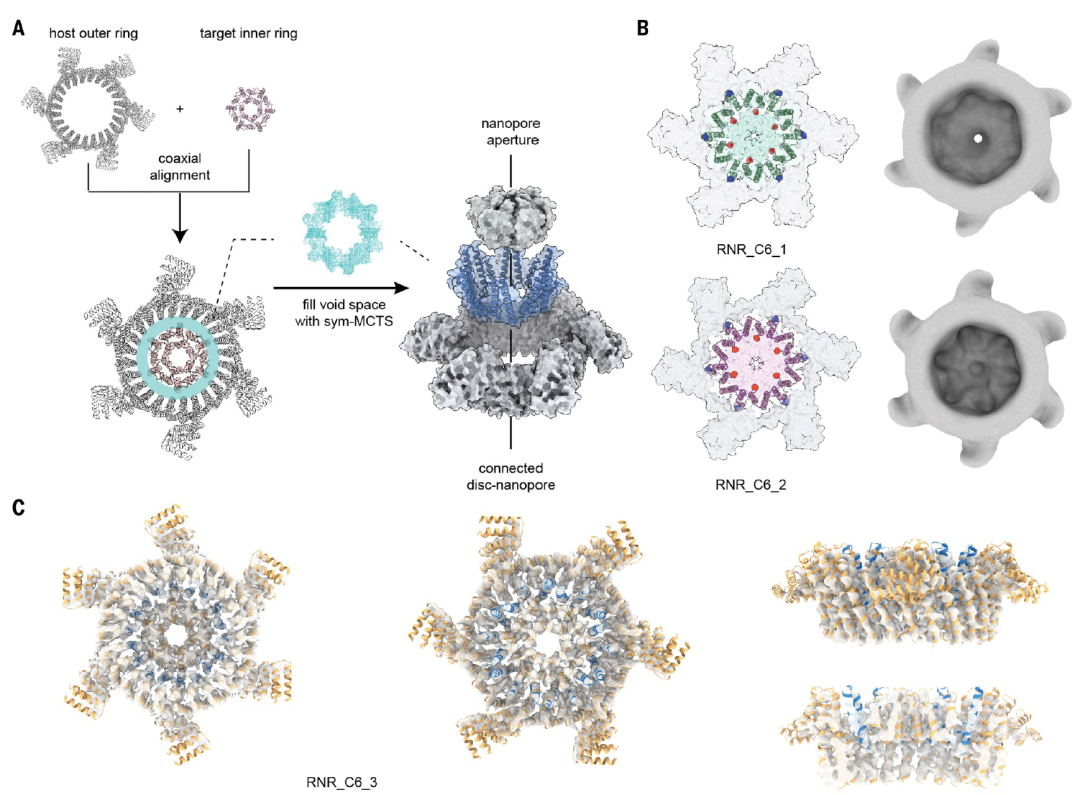 Science | 利用强化学习进行蛋白质的自上而下设计_top-down design of protein architectures ...
