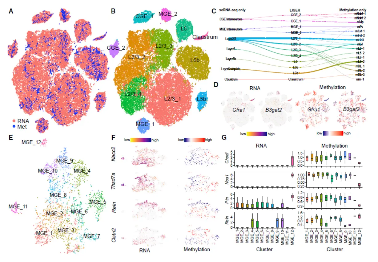 10X单细胞（空间转录组）数据整合分析批次矫正之liger_空间转录组数据需要校正批次效应吗-CSDN博客