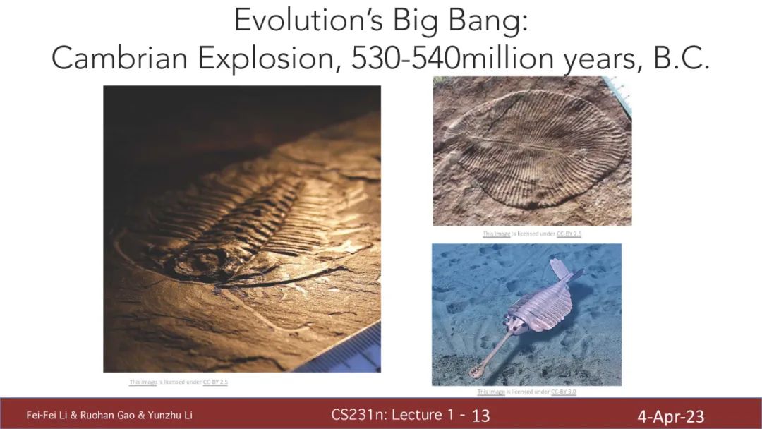 李飞飞斯坦福经典CS231N课程2023季《深度学习计算机视觉》不容错过！附Slides-CSDN博客