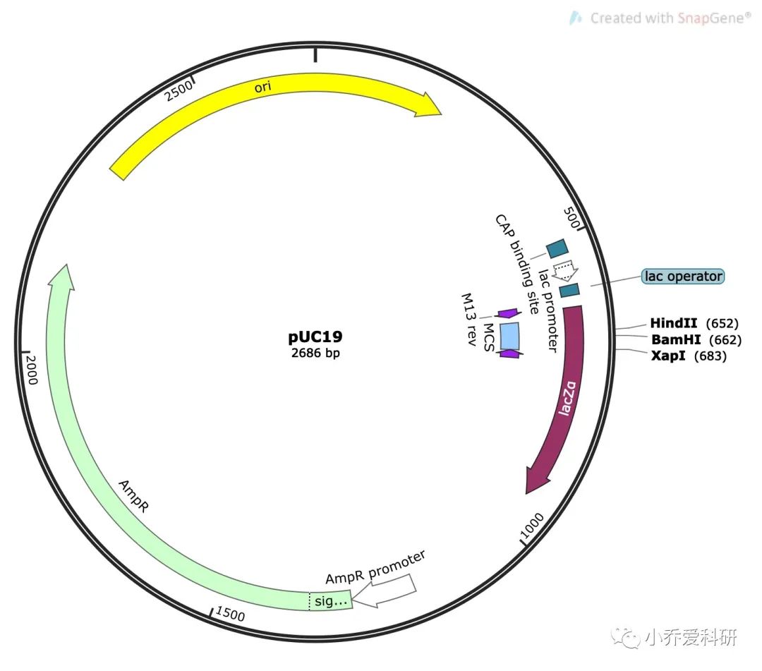 克隆需要验证_菜鸟学习之旅(一)——无缝克隆(上)_深夜利行的博客-CSDN博客