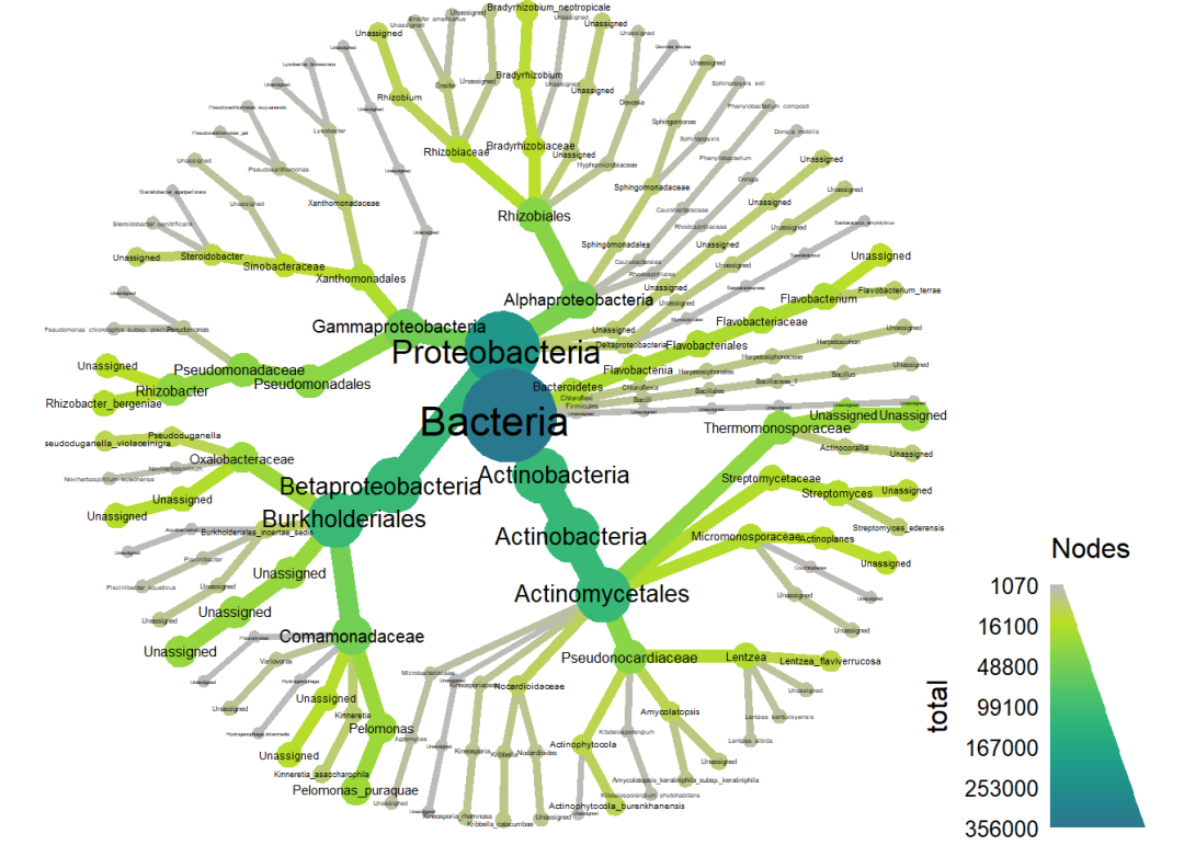 metacoder-相关进化树图的绘制于实践-CSDN博客
