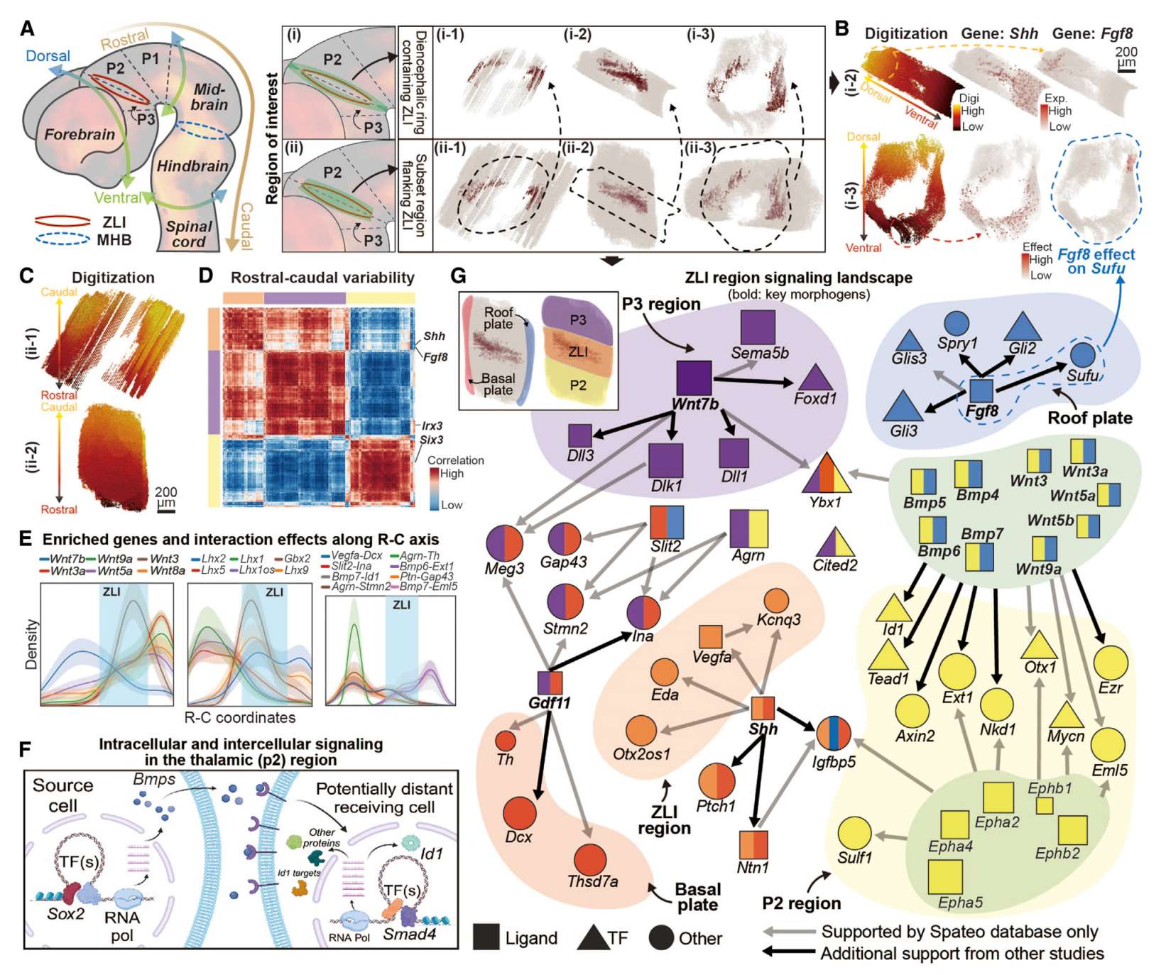 文献阅读 | Cell：分子全息图的时空建模_spateo-CSDN博客