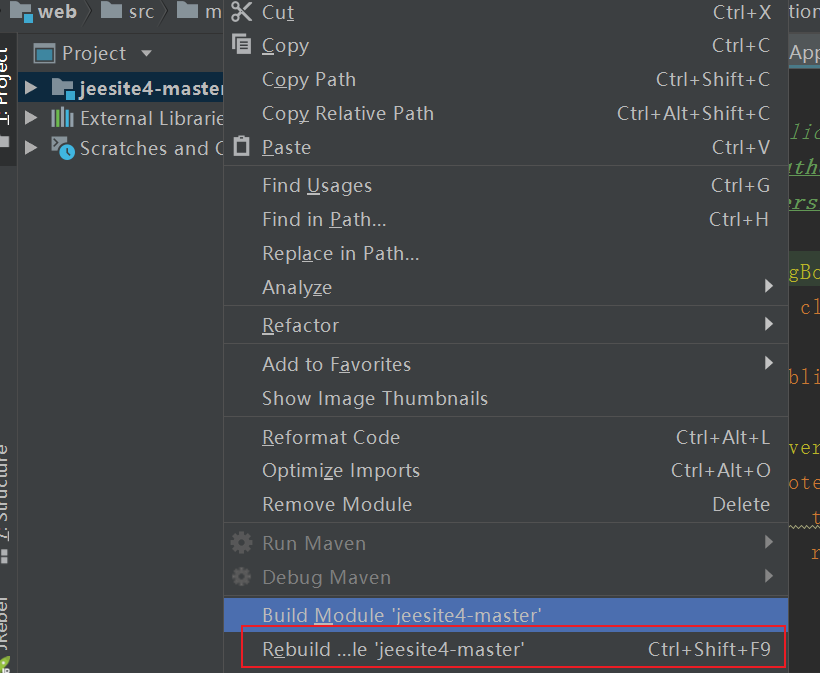 Jeesite框架IDEA导入，部署，启动，打包-CSDN博客