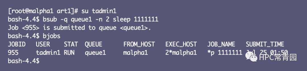 LSF实践专题（20）：LSF集群的资源限制功能_lsf查询个人的资源限额-CSDN博客