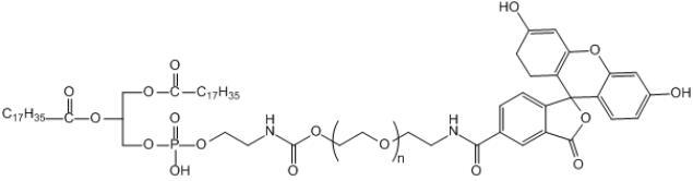 知识点梳理：DSPE-PEG-RB，DSPE-PEG-FITC，高分子PEGDSPE试剂大合集-CSDN博客