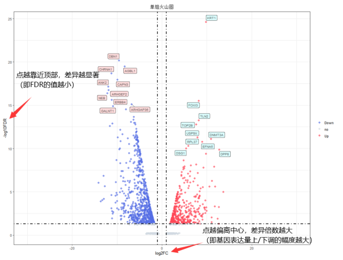 【R语言】——火山图绘制_r语言火山图-CSDN博客