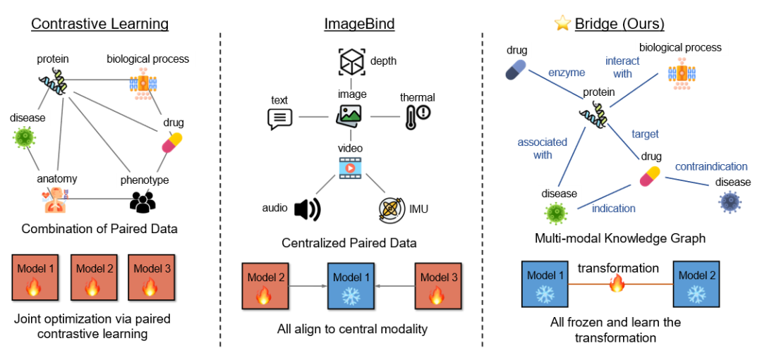 技术动态 | UIUC等提出BioBridge：用知识图谱构建多模态生物医学基础模型-CSDN博客