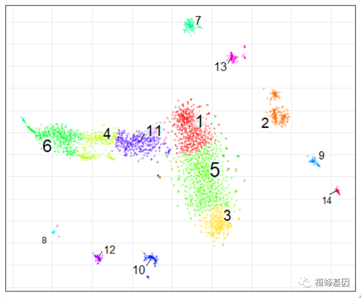 SCS【22】单细胞转录组之 RNA 速度估计 (Velocyto.R)-CSDN博客