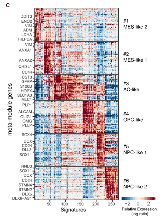 10X单细胞（10X空间转录组）层次聚类分析intra-tumor variability programs_转录组层次聚类-CSDN博客