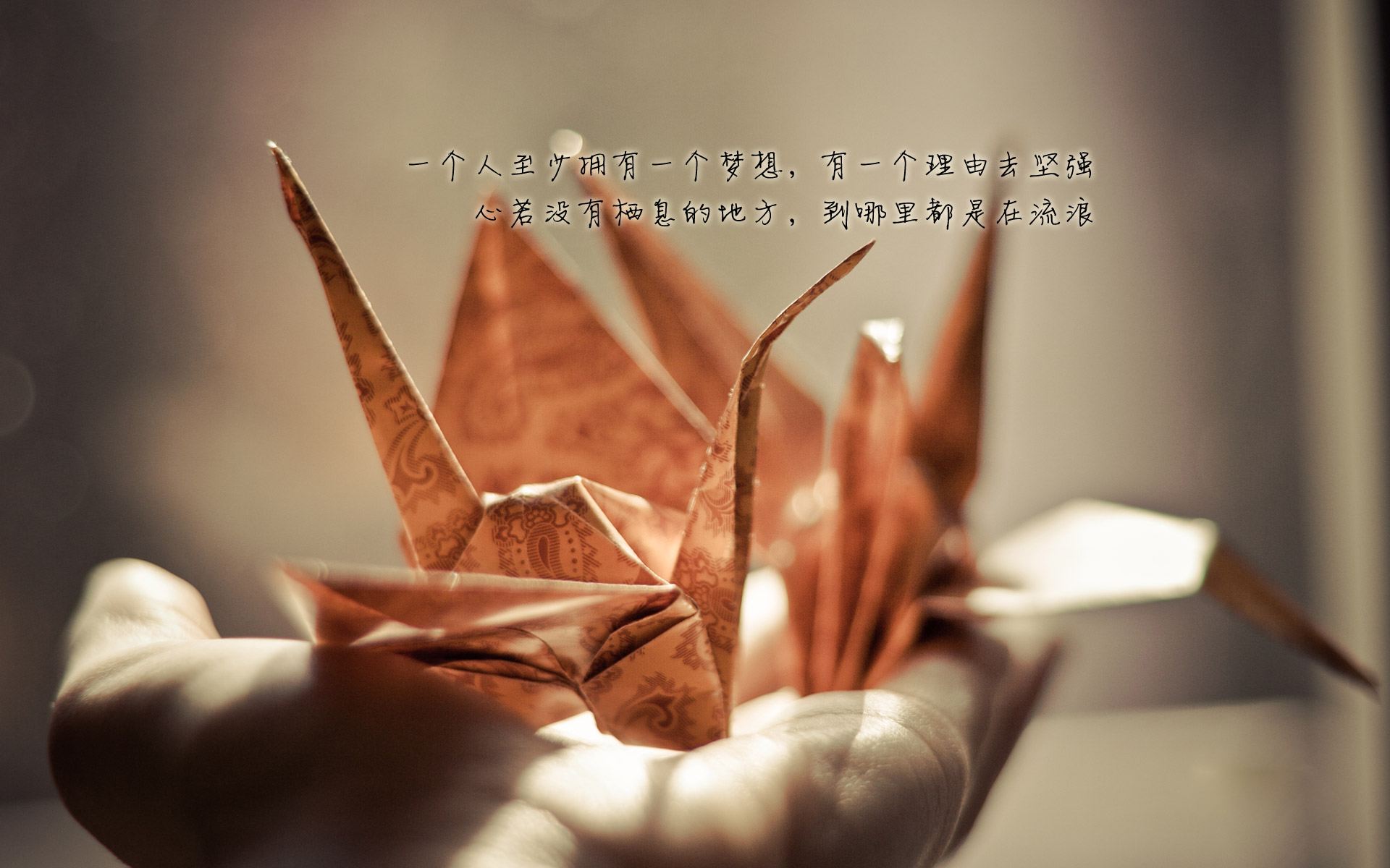 【python基础篇007】带你超深度剖析python装饰器函数python 装饰器的深度理解 Csdn博客