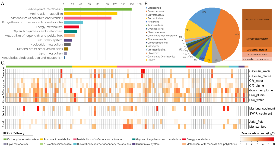 Microbiome | 海洋三所邵宗泽组揭示深海热液区病毒多样性及其与宿主相互作用-CSDN博客