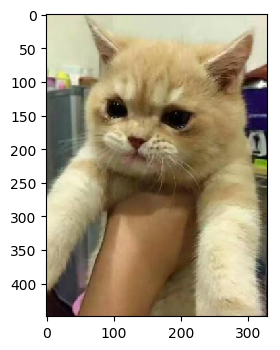 scipy笔记—scipy.misc.imresize用法(方便训练图像数据)-CSDN博客