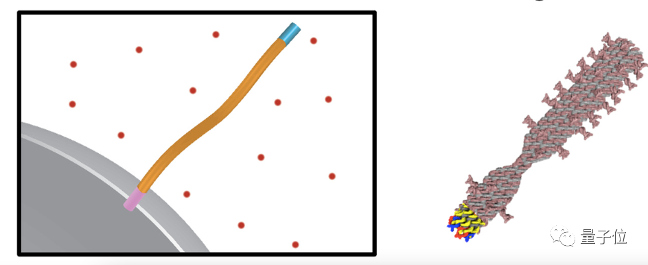 7nm DNA「针管」可将药物分子直接注入细胞，来自约翰霍普金斯大学团队-CSDN博客