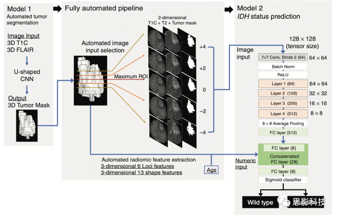 Neuro-Oncology：全自动混合方法通过深度学习和放射组学预测胶质瘤的IDH突变状态_使用severance开发集开发了混合模型-CSDN博客