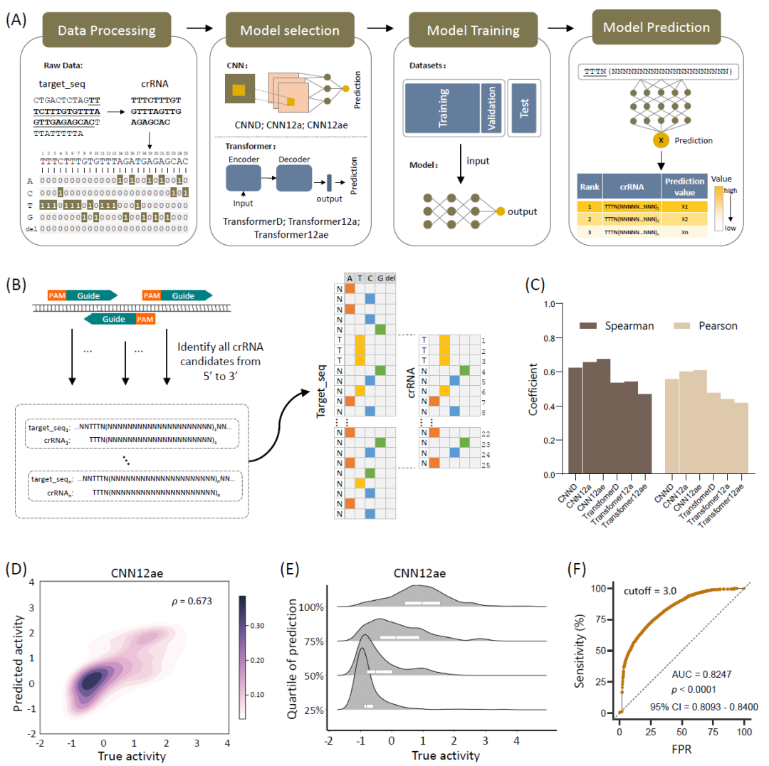 iMeta | 之江实验室/农科院基因组所联合开发CRISPR/Cas12a检测体系crRNA智能设计平台...-CSDN博客