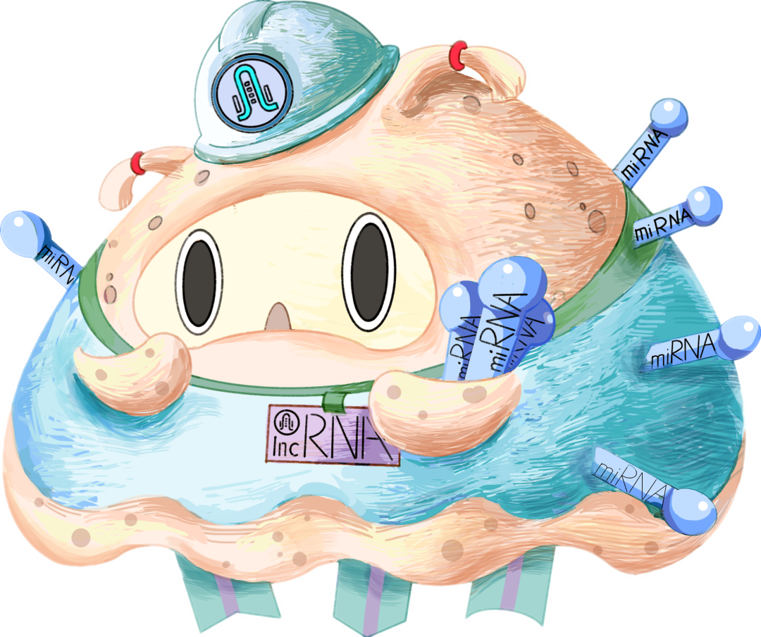 ceRNA！你是谁？为了谁？_cerna是啥-CSDN博客