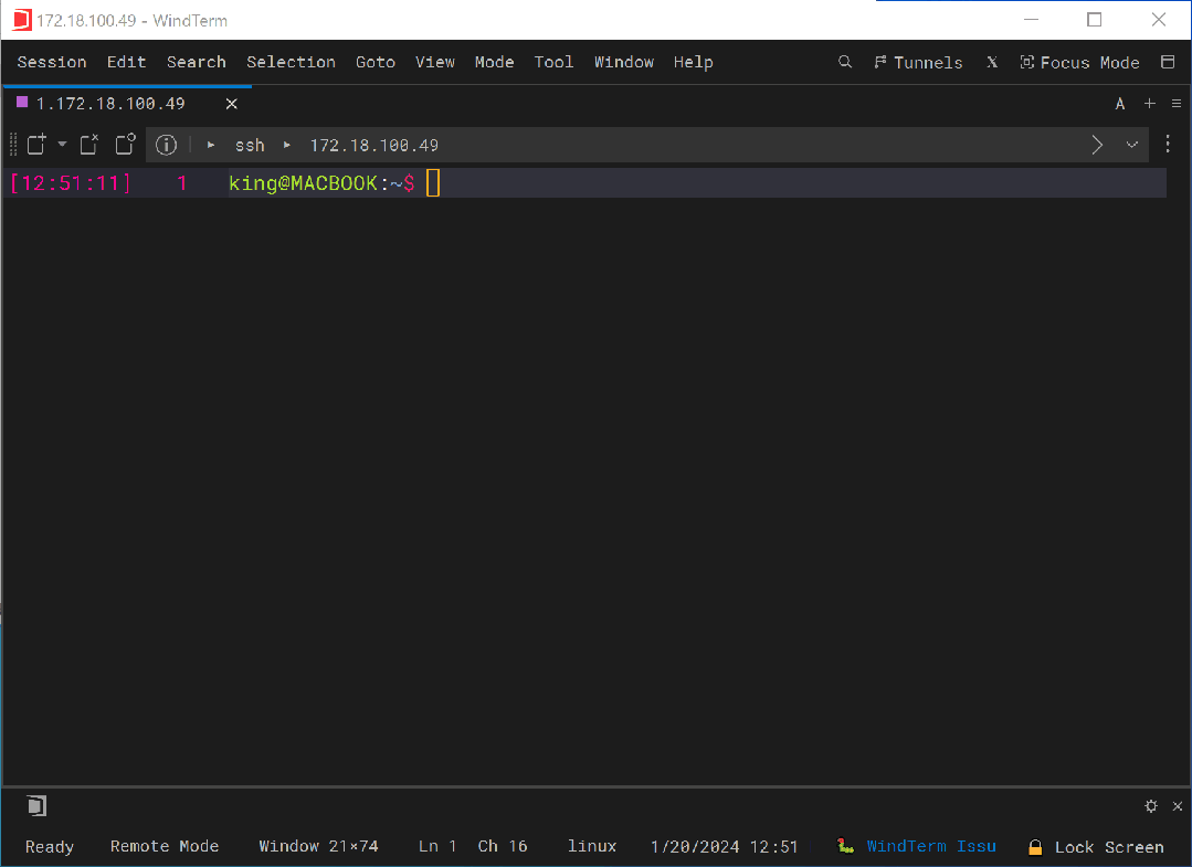 WindTerm：开源了！打造高效工作环境，更快更好的SSH/Telnet/Serial/Shell/Sftp客户端_windterm sftp-CSDN博客