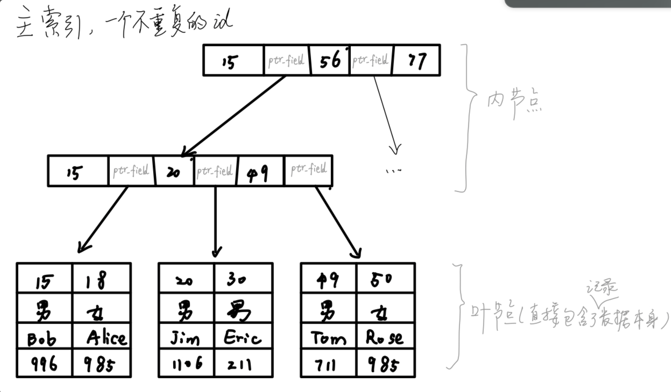 数据库的索引是什么？为何需要它？如何使用它？为什么要建立索引学生选课数据库中建立多少索引合适 Csdn博客 